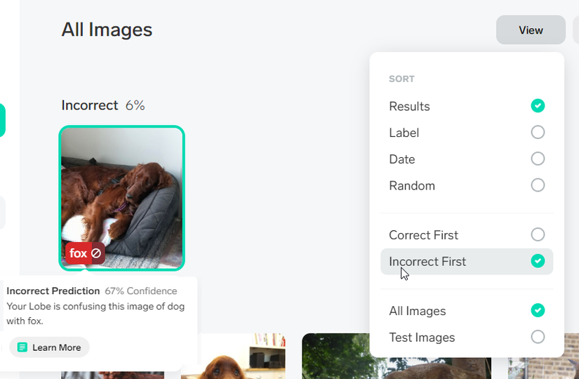 How to Create a Machine Learning Model With Microsoft Lobe