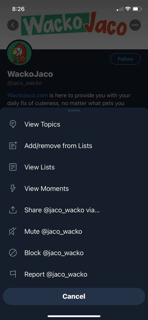 How to Report a Post or Account on Twitter