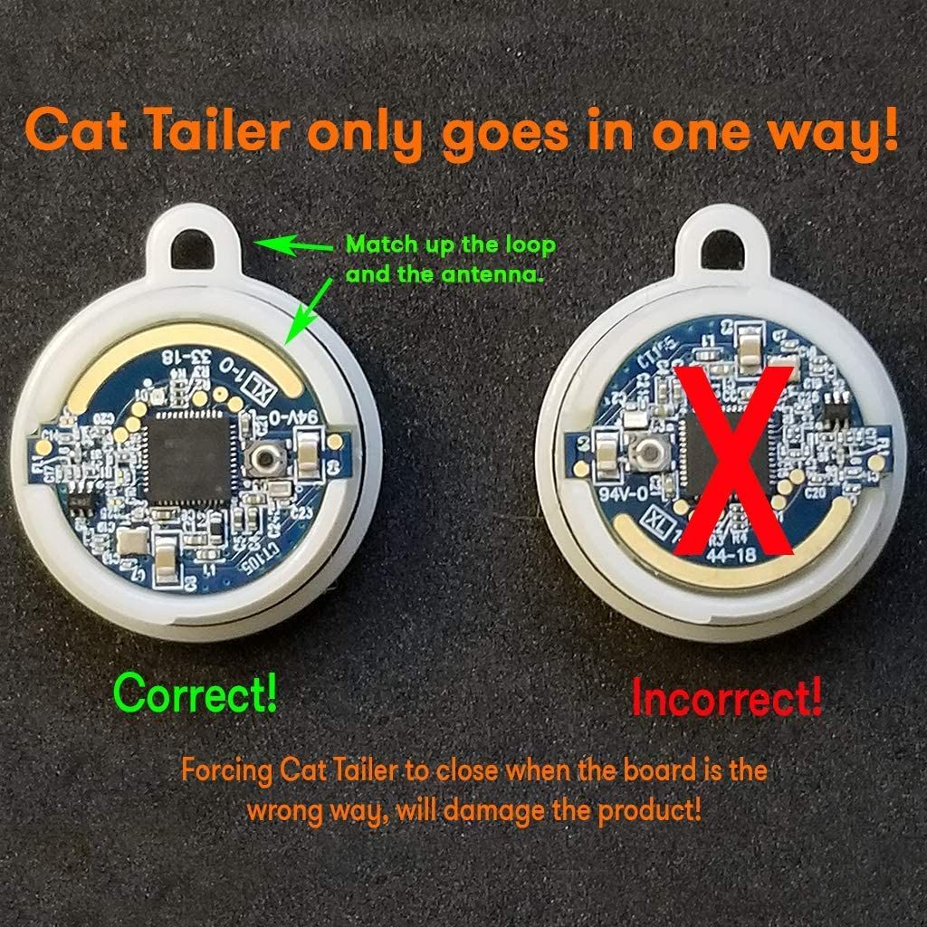 The 7 Best Pet Trackers and GPS Collars