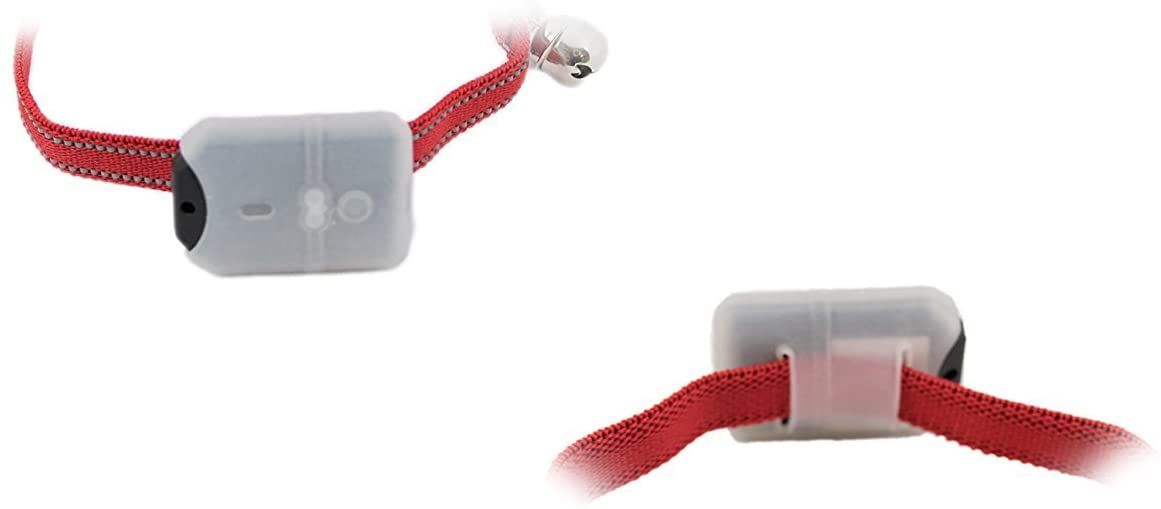 The 7 Best Pet Trackers and GPS Collars