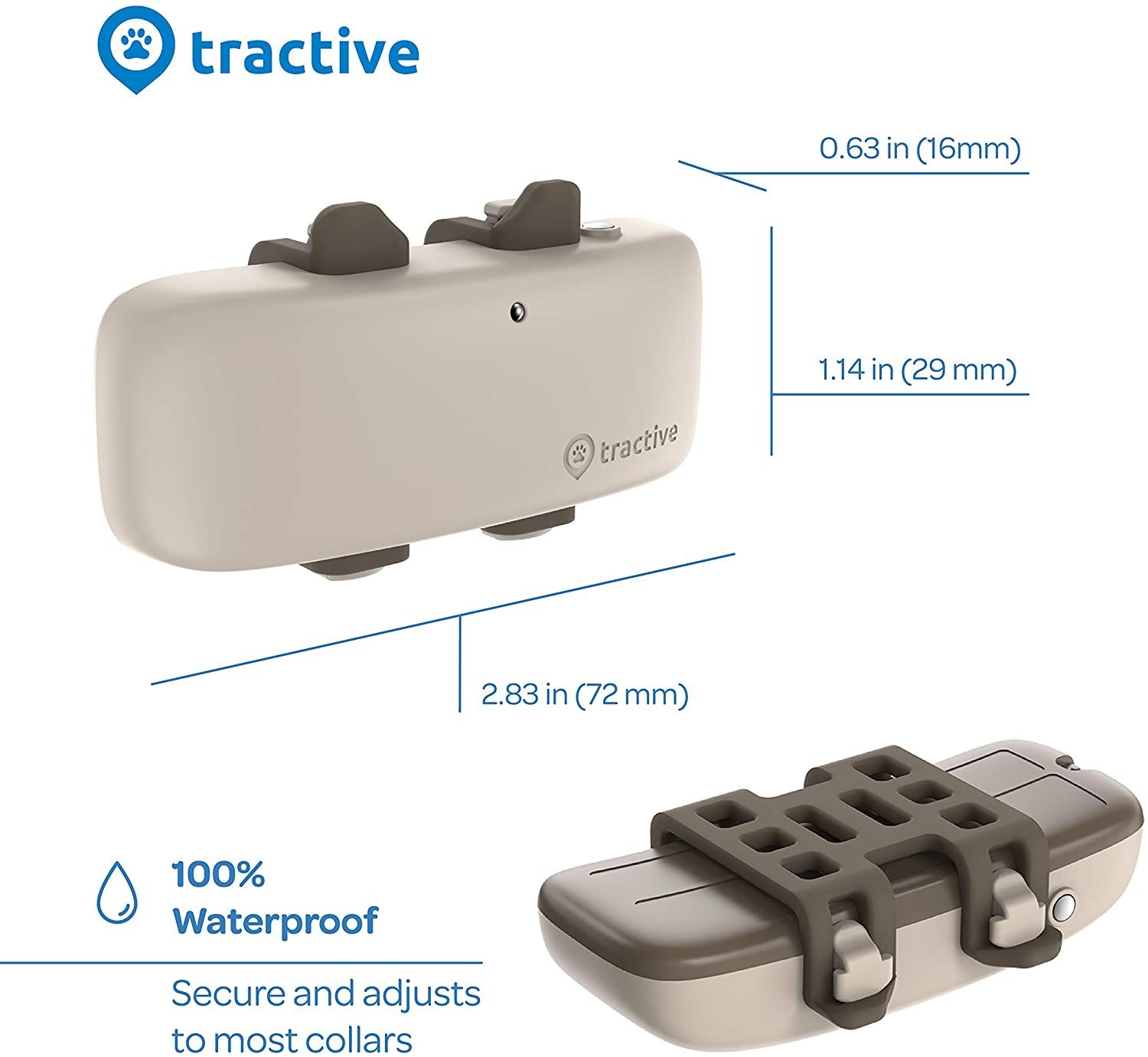 The 7 Best Pet Trackers and GPS Collars