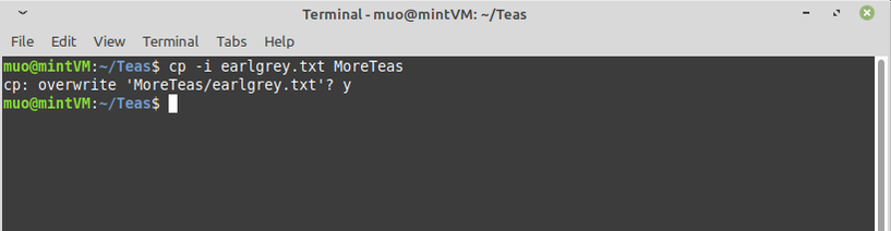 How to Copy Files in Linux With the cp Command