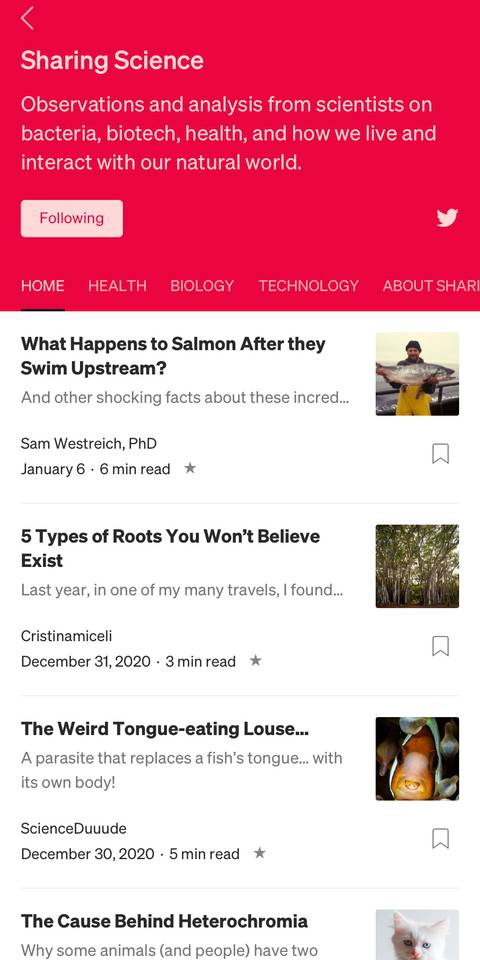 How to Get Started With Medium: A Beginner's Guide