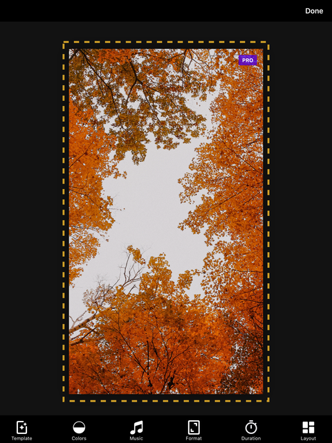 How to Use Mojo to Make Eye-Catching Instagram Stories