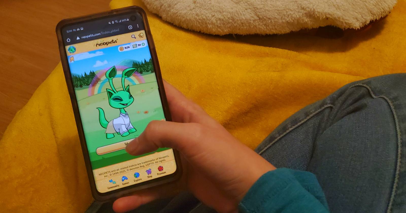 What's the Best Way to Play Neopets in 2021?