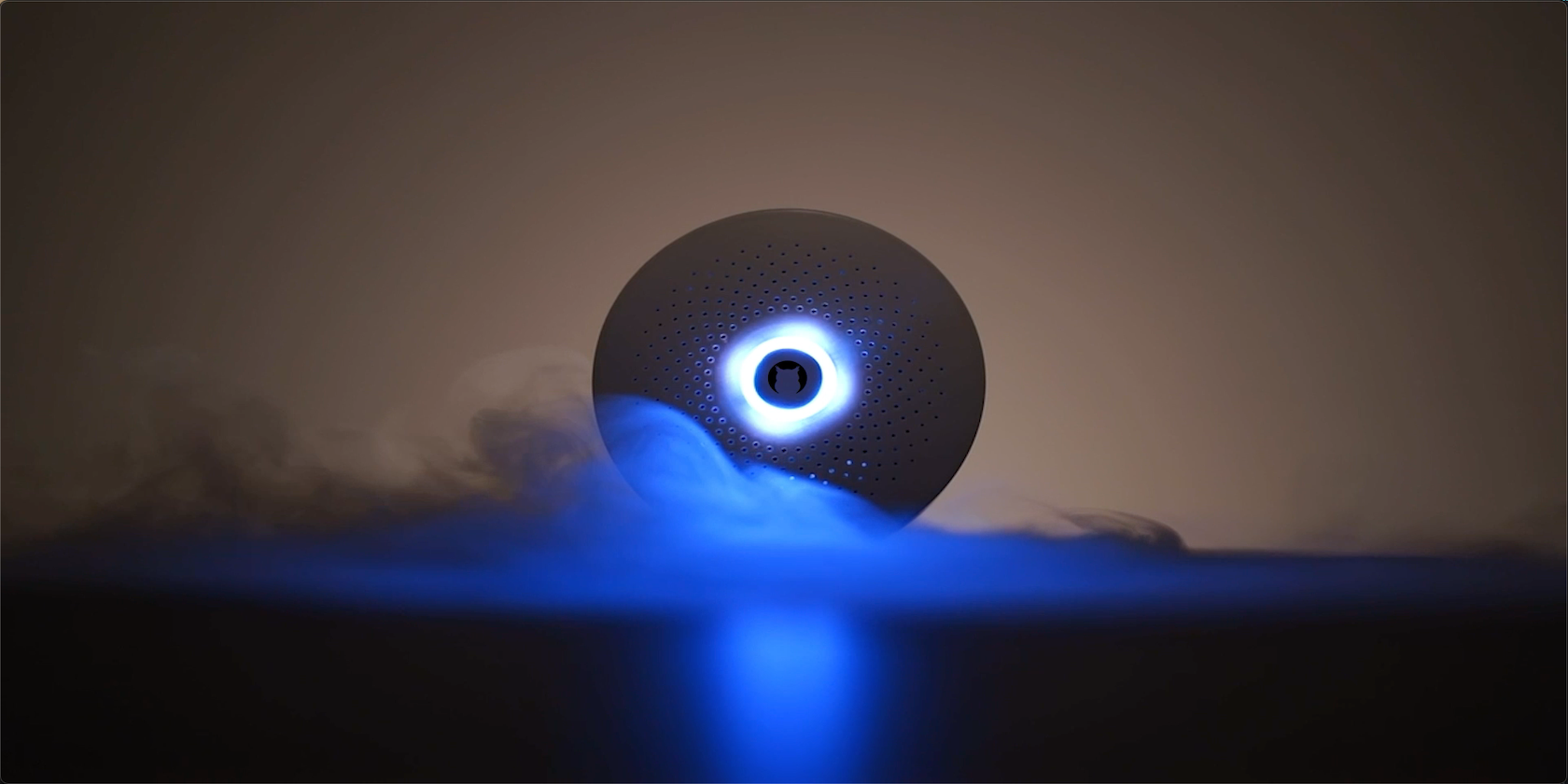 Hedgehog Is a Privacy-friendly Digital Guardian for Your Home