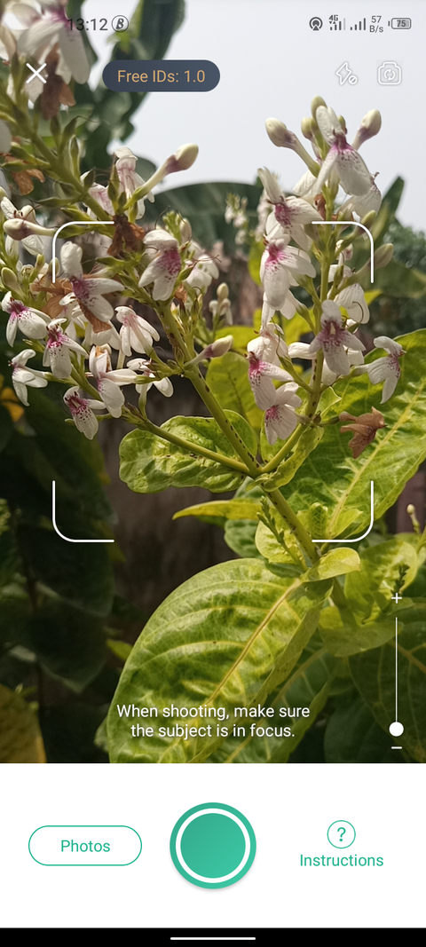 The 5 Best Google Lens Alternatives for Android
