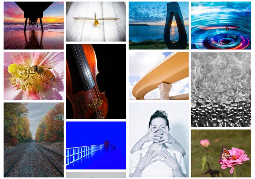 The Best Online Photography Courses for Beginners