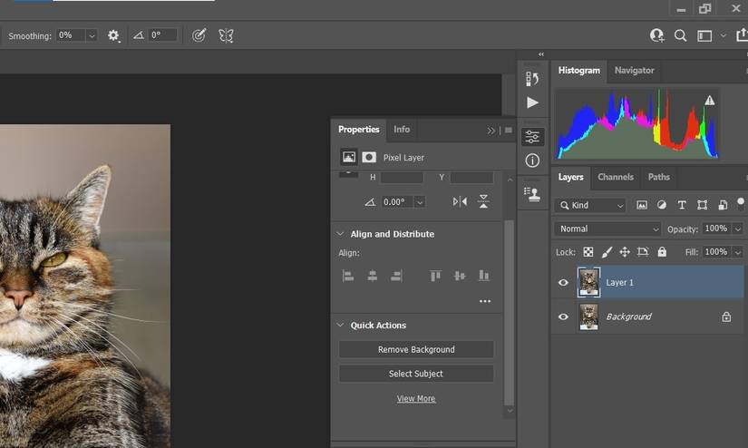 How to Turn Your Pet Photos Into Works of Art in Photoshop