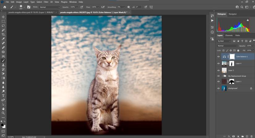 How to Turn Your Pet Photos Into Works of Art in Photoshop