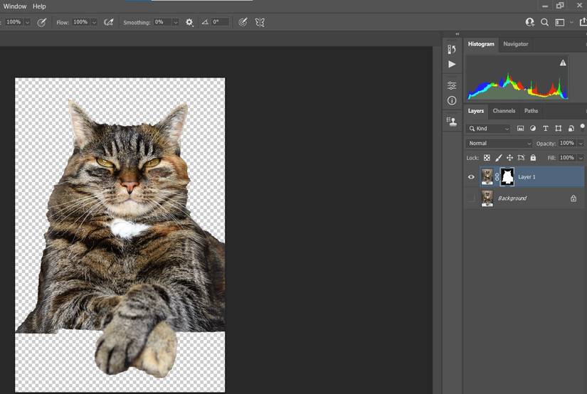 How to Turn Your Pet Photos Into Works of Art in Photoshop