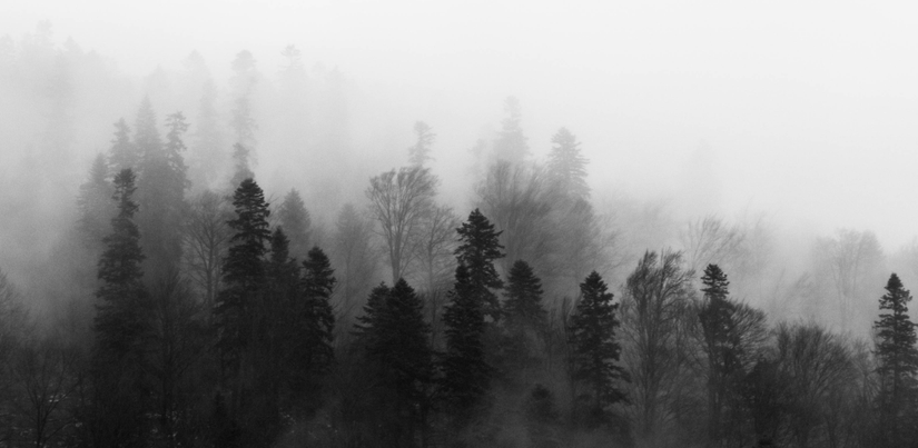 How to Dodge and Burn Using the Linear Light Blend Mode in Photoshop