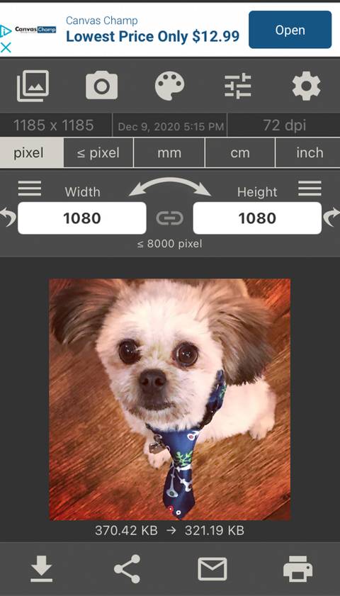 How to Reduce the Size of a JPEG: 6 Different Ways