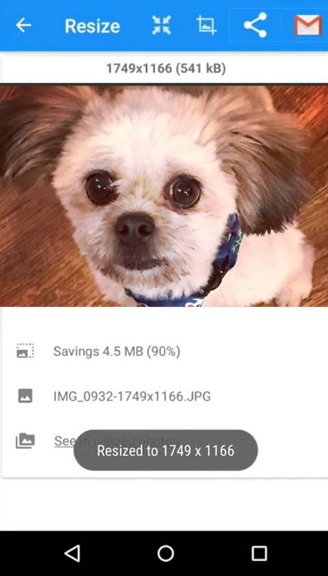 How to Reduce the Size of a JPEG: 6 Different Ways