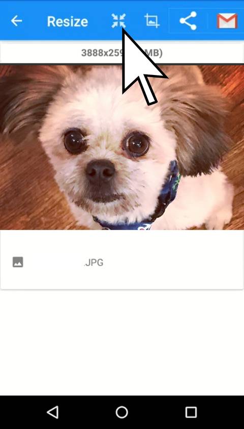 How to Reduce the Size of a JPEG: 6 Different Ways