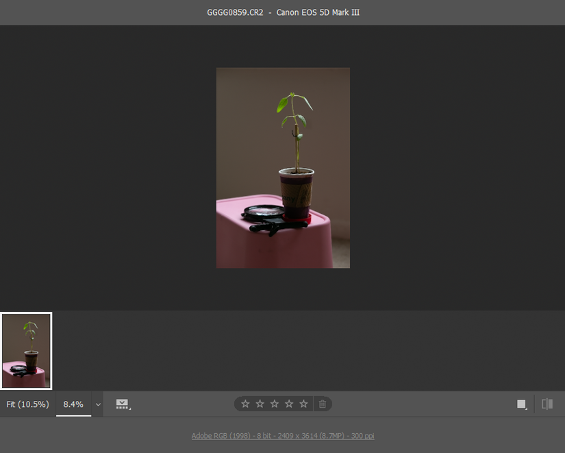 How to Use Adobe's Super Resolution to Upscale Images