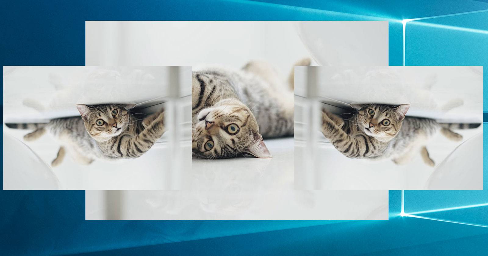 4 Quick and Easy Ways to Flip a Photo on Windows 10