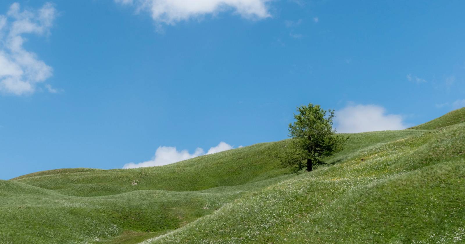 5 Helpful Tips to Beautify Your Desktop Wallpaper