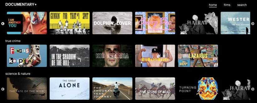 5 Alternatives to Netflix for Learning Through Educational and ...