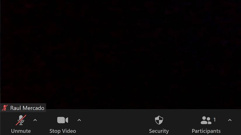 How to Mute on Zoom