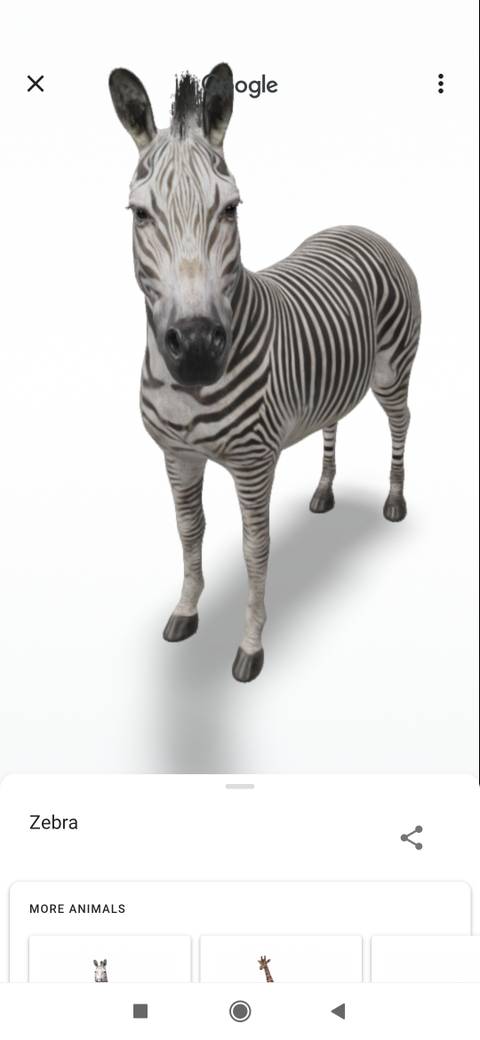 How to View Google's 3D Animals and Go on a Virtual Safari