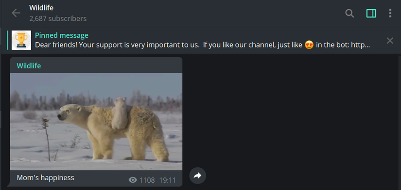The 10 Best Telegram Channels and How to Use Them