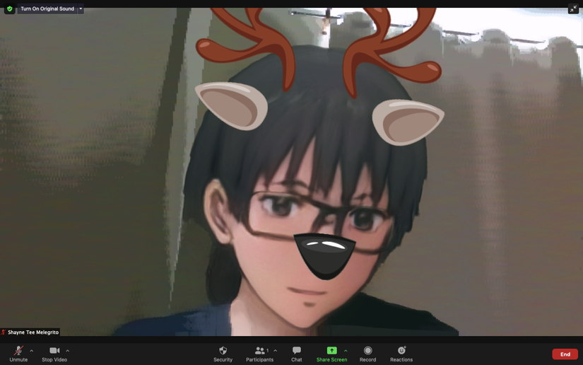 How to Use Zoom Video Filters