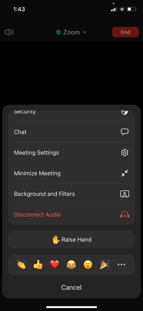 How to Use Zoom Video Filters