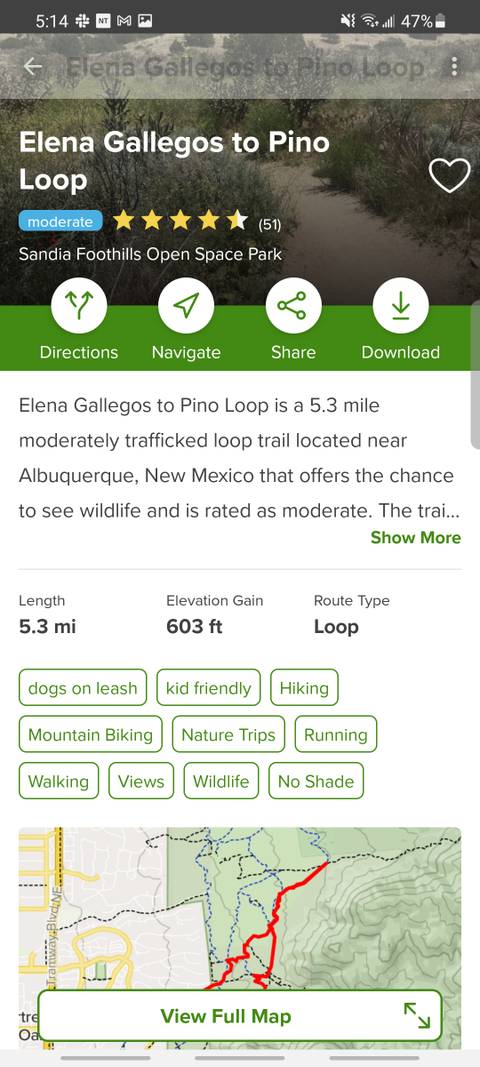9 Apps to Improve Your Hiking Experience