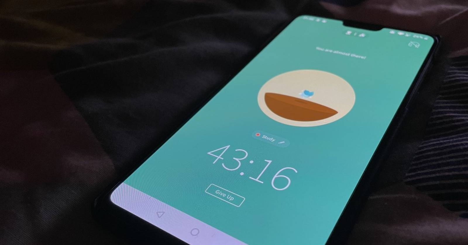 Is It Worth Upgrading to the Pro Version of Forest for Android?