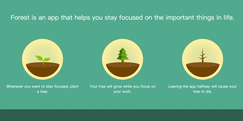 Is It Worth Upgrading to the Pro Version of Forest for Android?