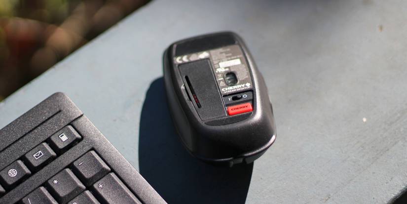 How to Clean Your Dirty Mouse