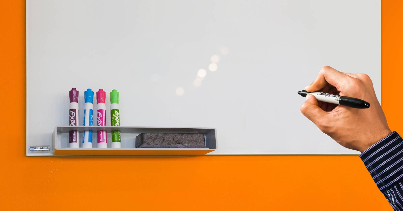 How to Create a Whiteboard Animation Video on Raw Shorts