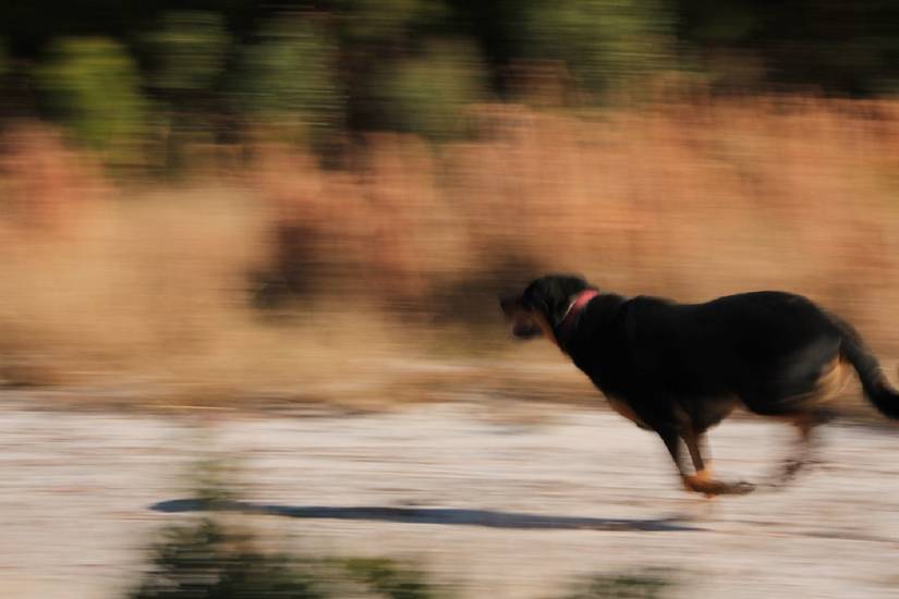 How Does Image Stabilization Work?