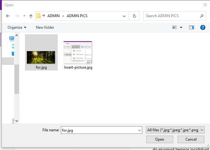 How to Edit and Crop Images in Microsoft OneNote