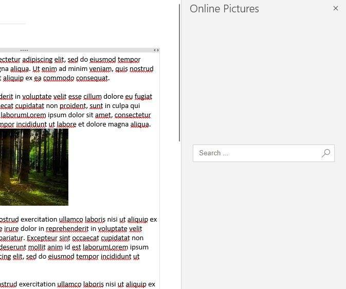 How to Edit and Crop Images in Microsoft OneNote
