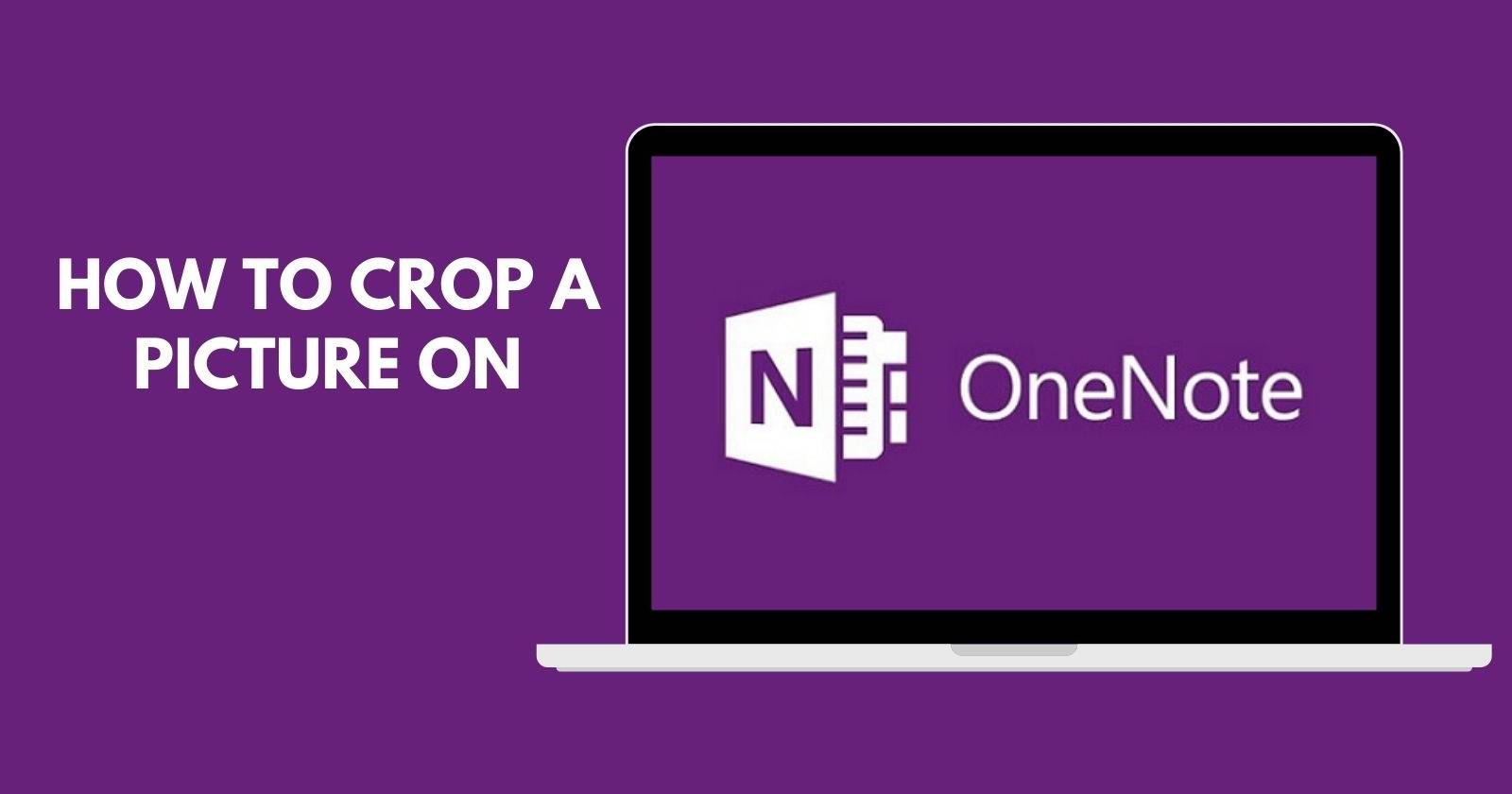 How to Edit and Crop Images in Microsoft OneNote