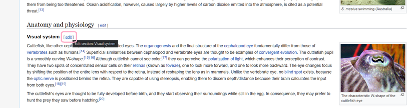 Why Wikipedia Isn’t as Credible as You Might Think