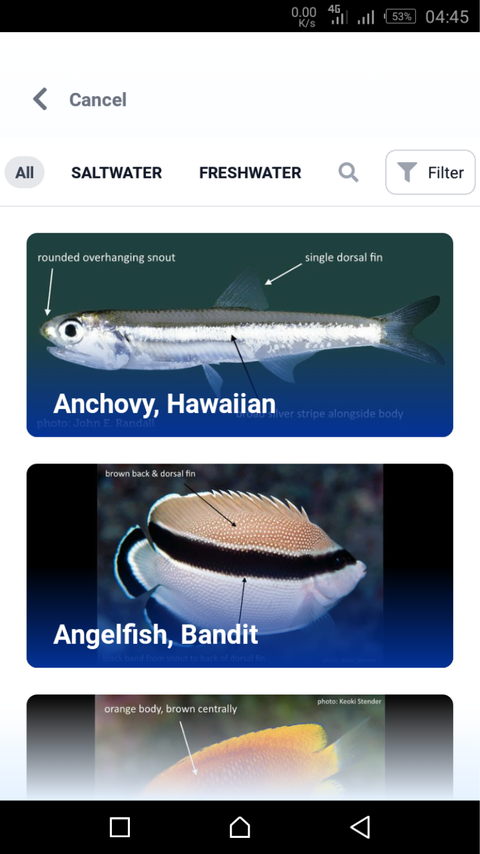 The 7 Best Fishing Apps for Android and iPhone
