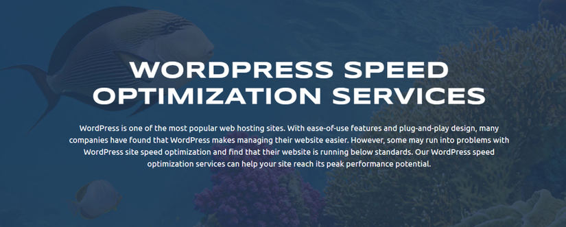 The 6 Best WordPress Speed Optimization Services