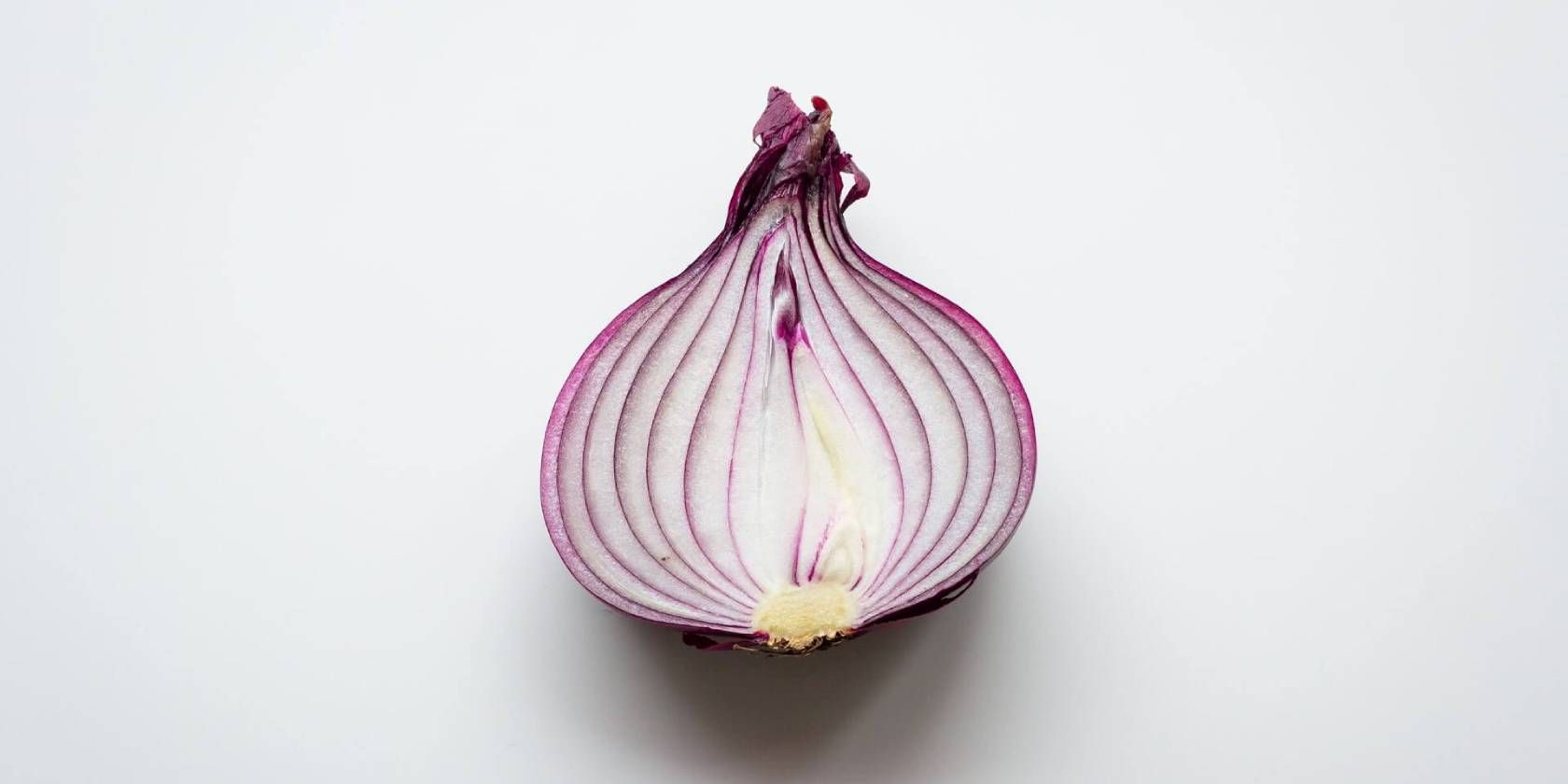 How to Install Tor Browser on Linux