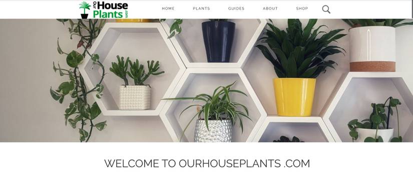 5 Sites That Can Help You With Houseplant Care