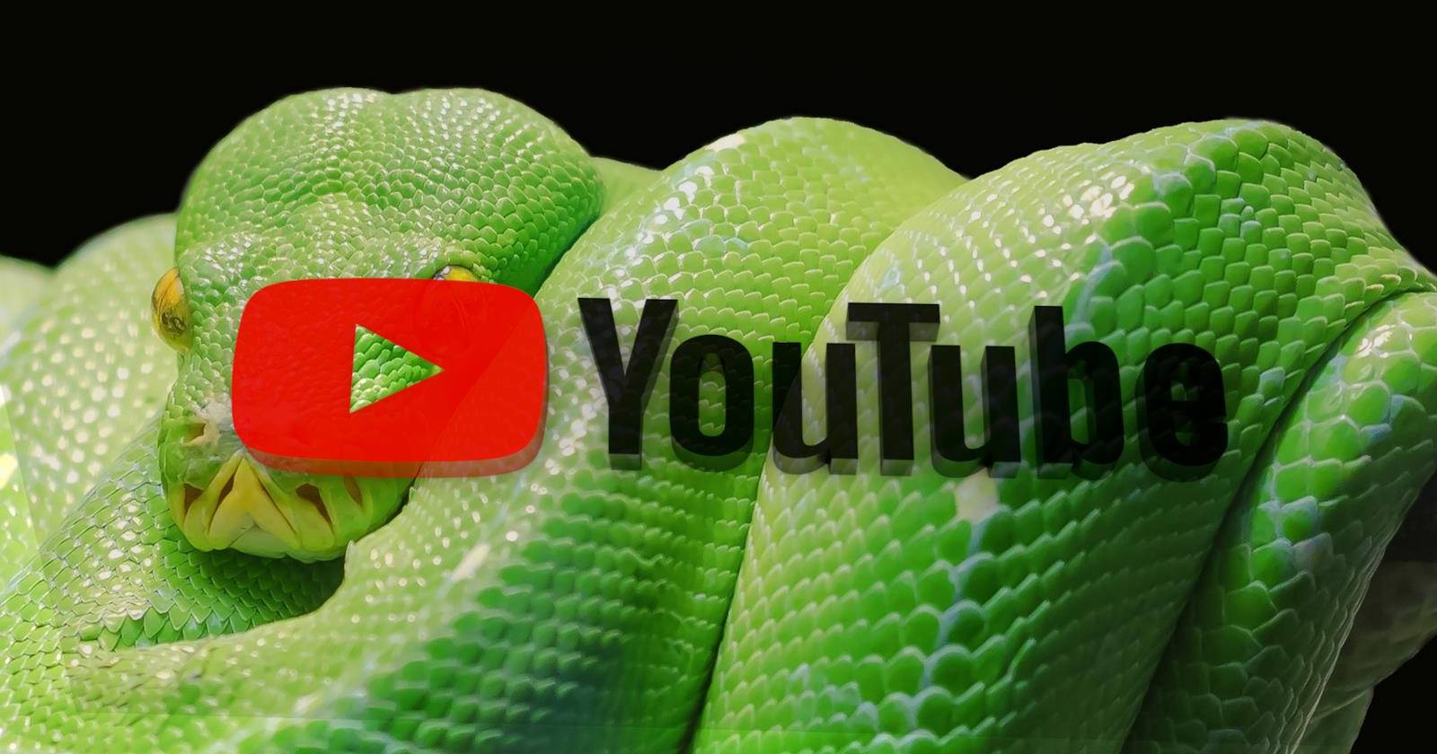 How to Build a YouTube Video Downloader With Python