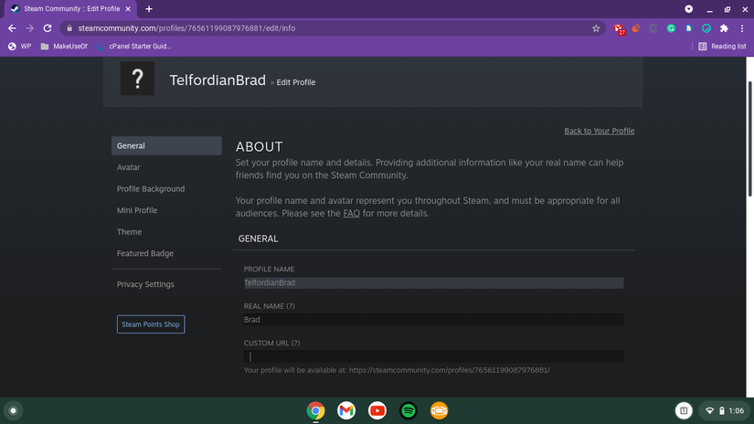 How to Set Up a Custom URL in Your Steam Profile