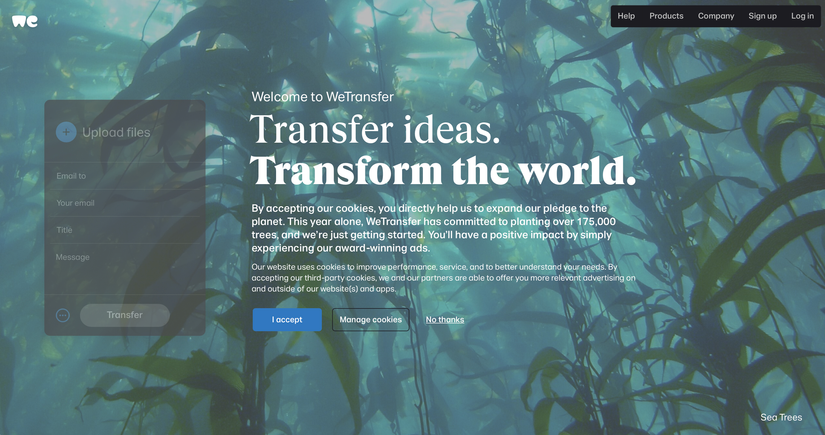 What Is WeTransfer and How Do You Use It?