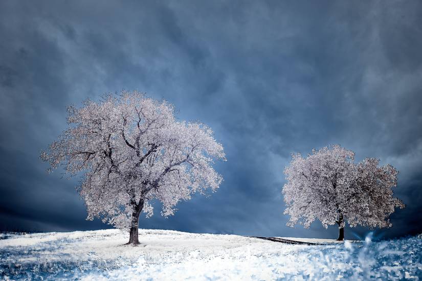 What Is Infrared Photography? A Beginner's Guide