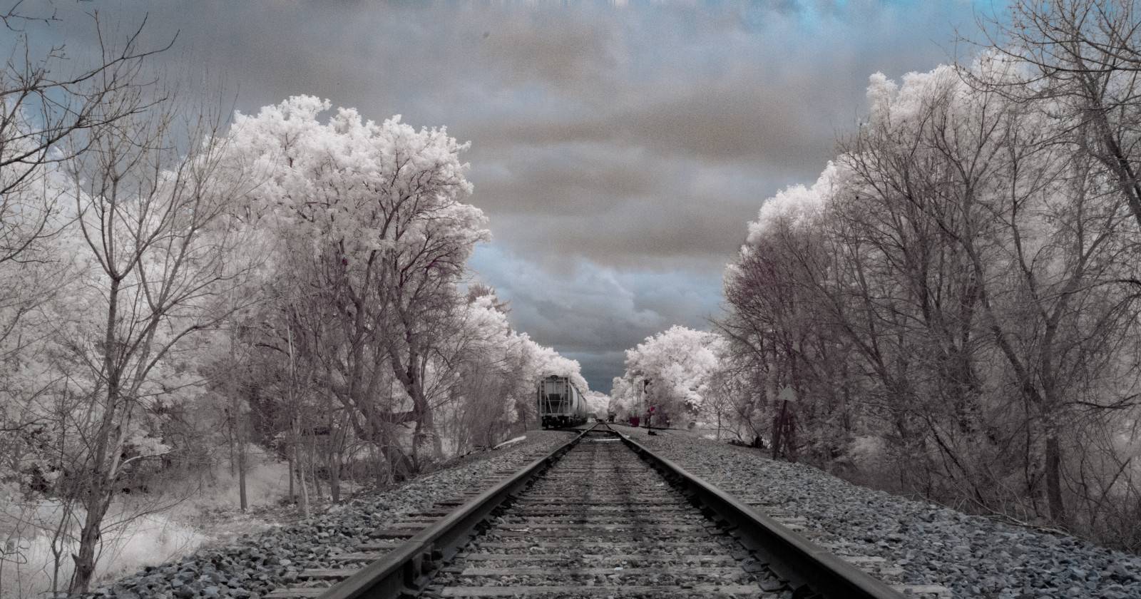 What Is Infrared Photography? A Beginner's Guide