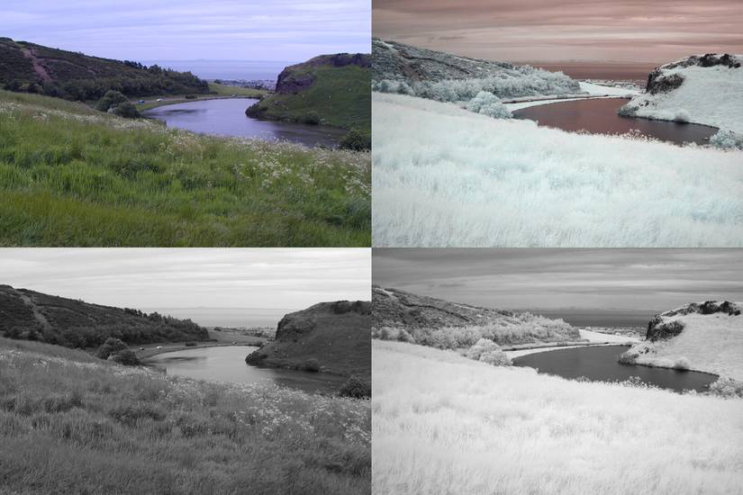 What Is Infrared Photography? A Beginner's Guide