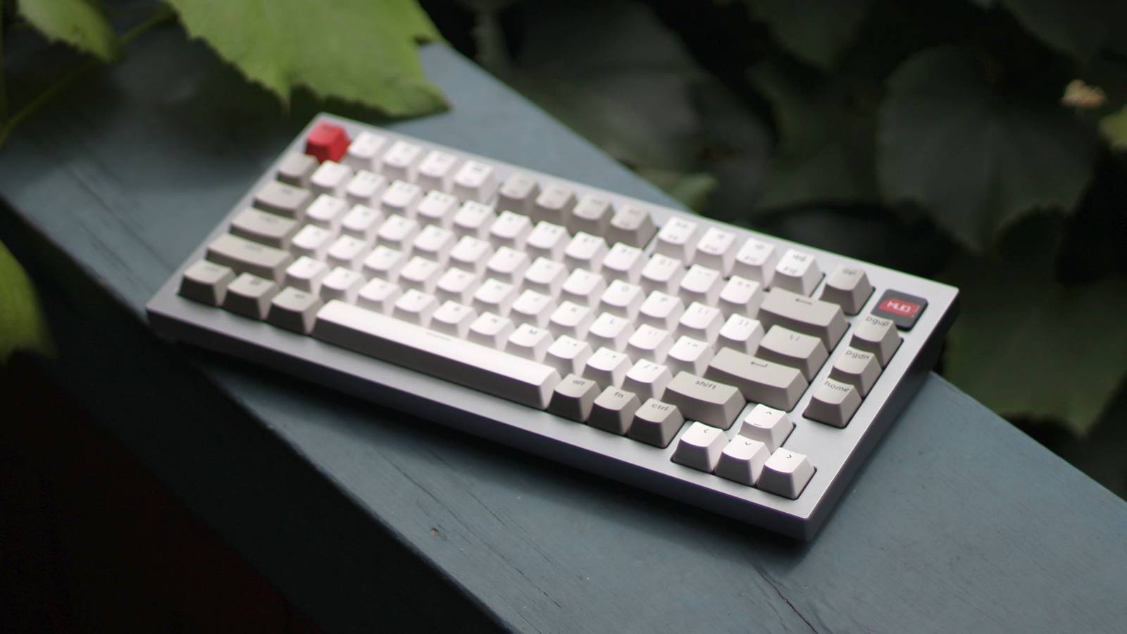 Wooting Keyboard Keychron Keyboard Buy Keychron Q1 Pro Wireless Custom ...