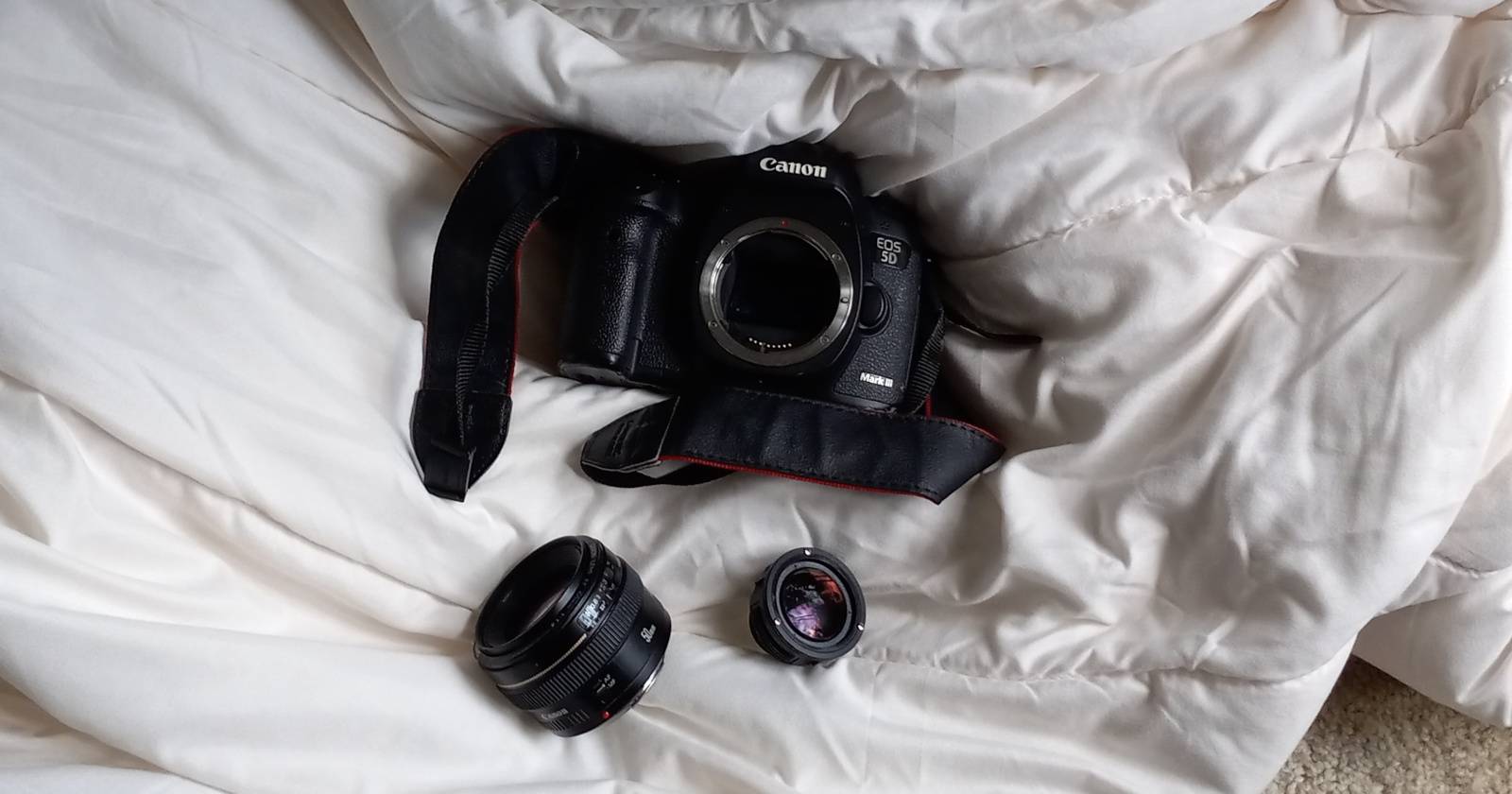 Freelensing for Beginners: 6 Tips for Beautiful Photos